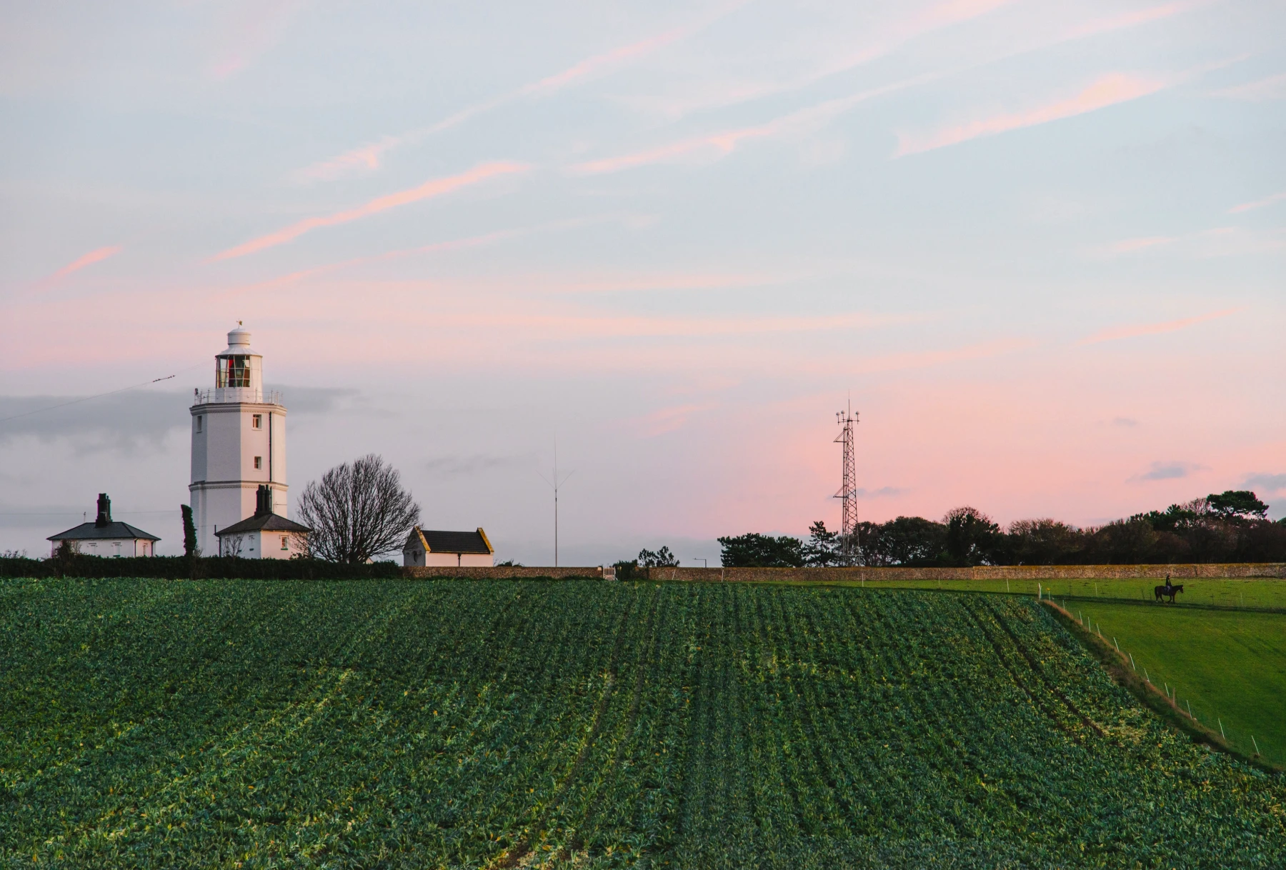 Contact | Independent Estate Agency in South East England | Arun Estates